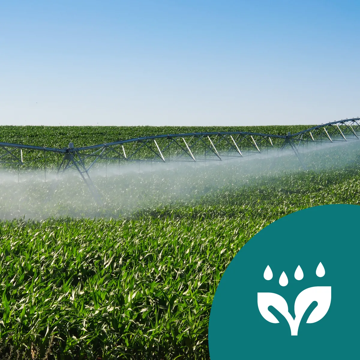 Clean Kilowatt Energy